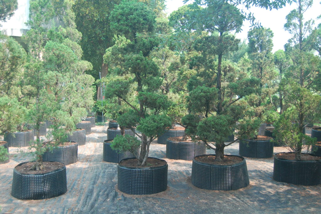 RootBuilder Archives - Rootmaker